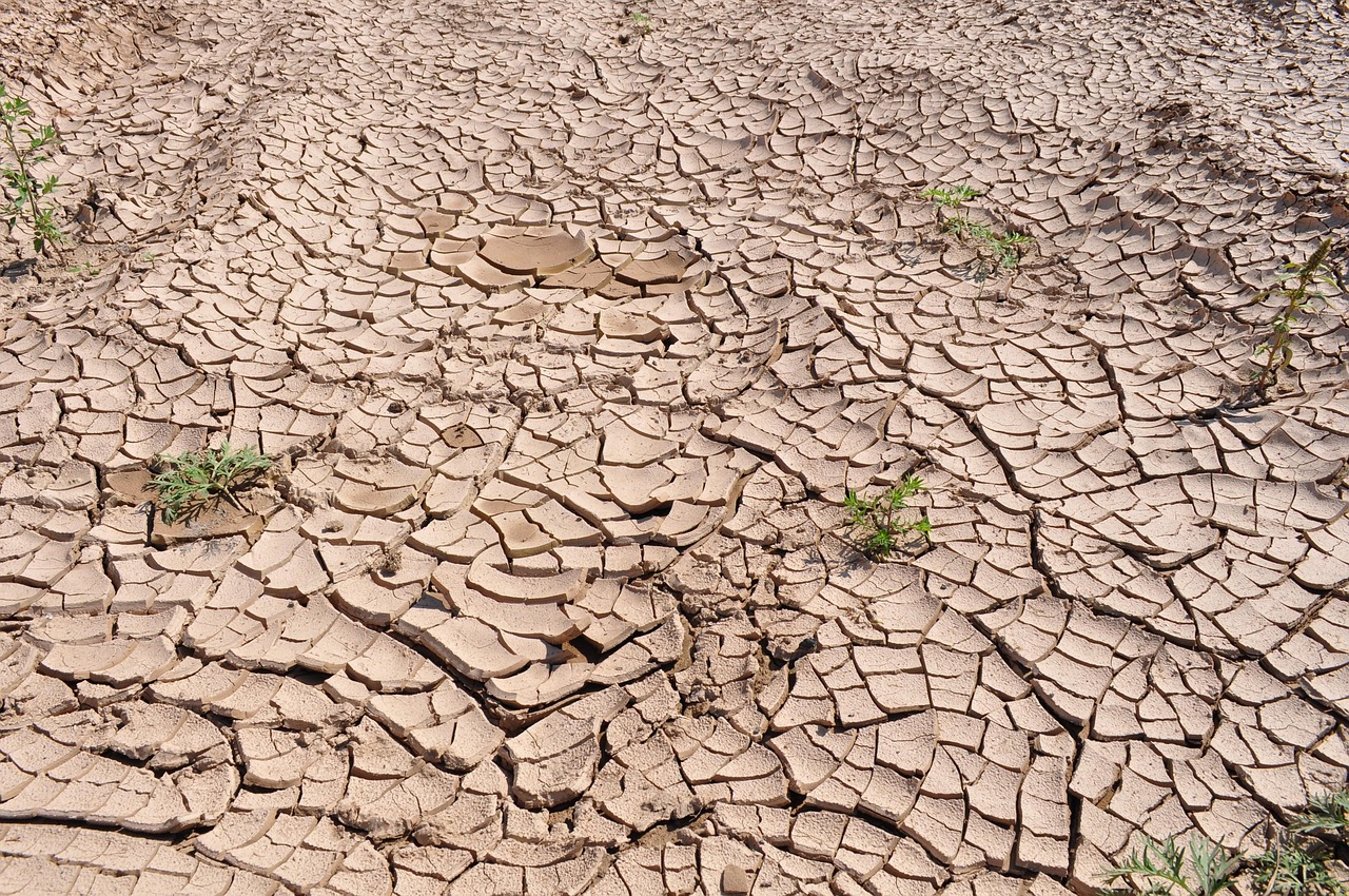 How Can We Prevent Or Reverse Desertification? - MAWEB